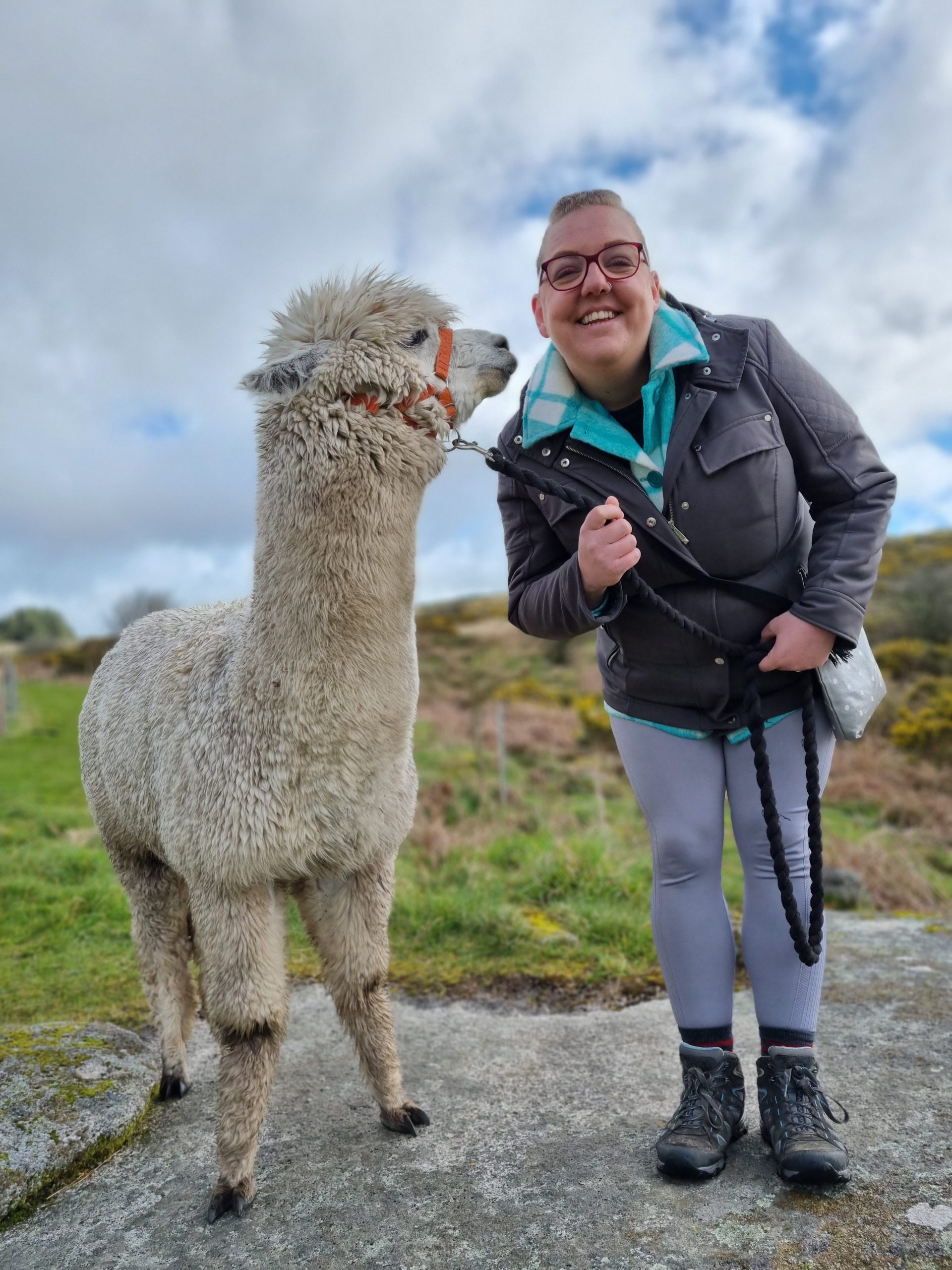 Experience Prices – Alpaca Trekking Cornwall