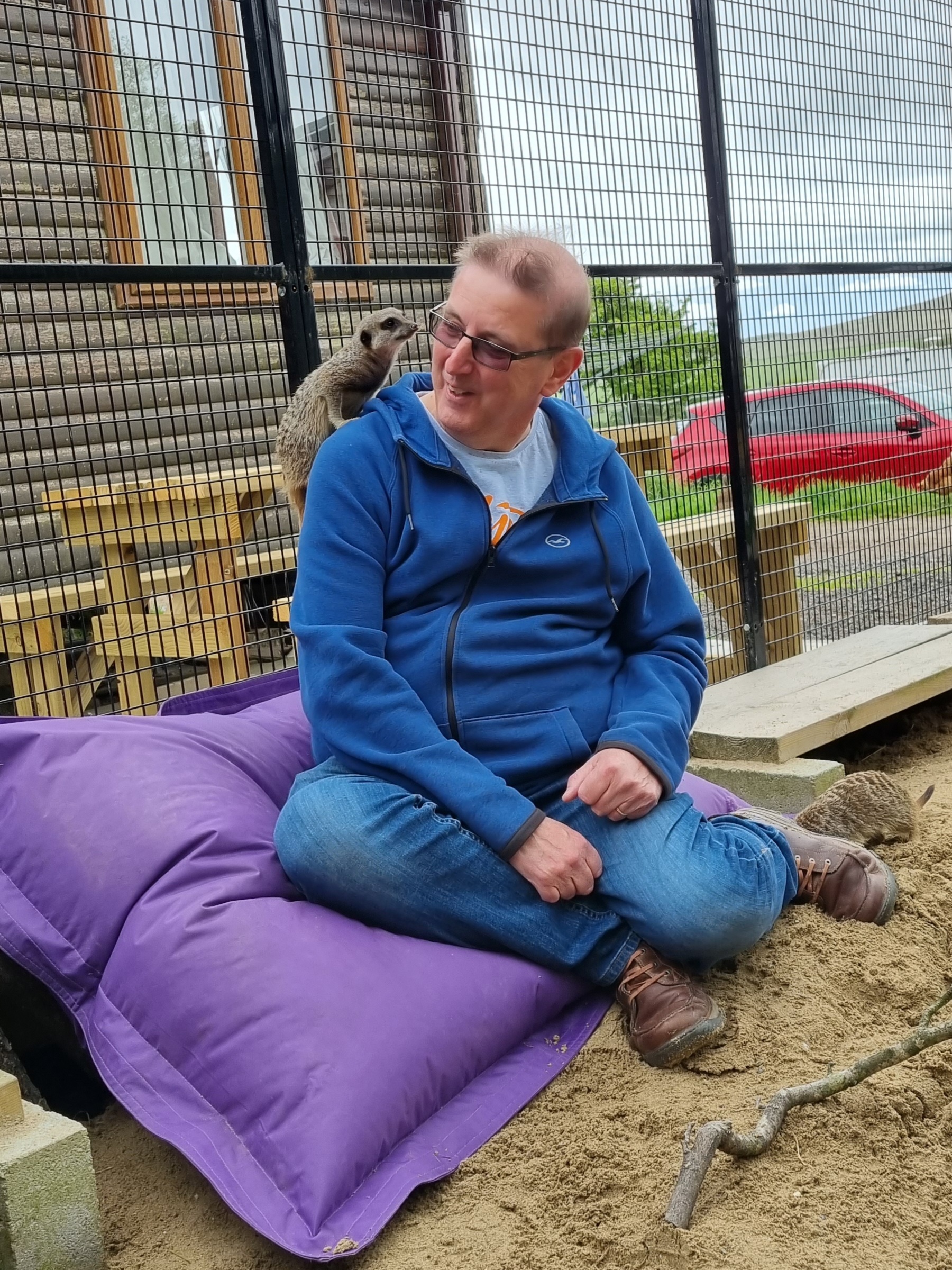 Experiences with Moor View alpacas – Alpaca Trekking Cornwall